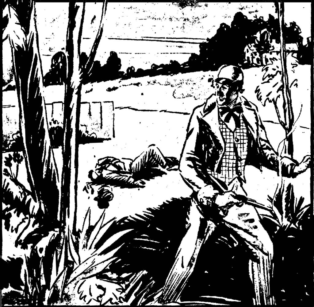 First Murder in Rochester – Dick's Genealogy & History Corner